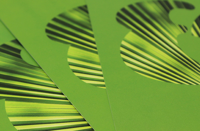 Cellogreen Lamination | Celloglas
